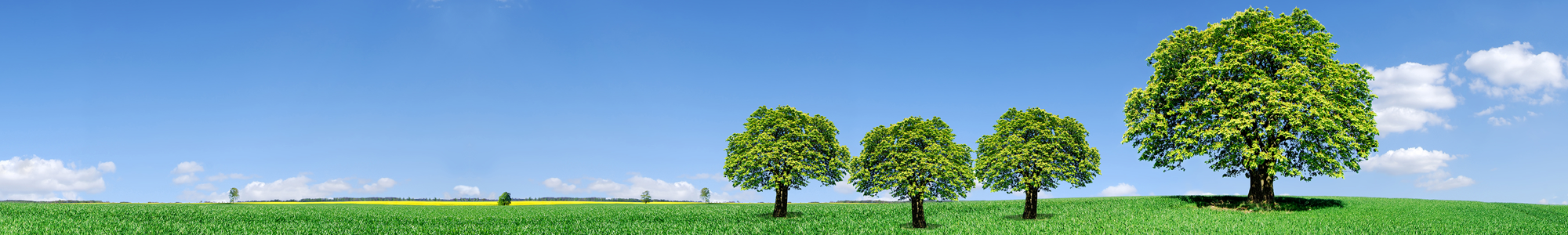 About-ICPEI - ICPEIICPEI